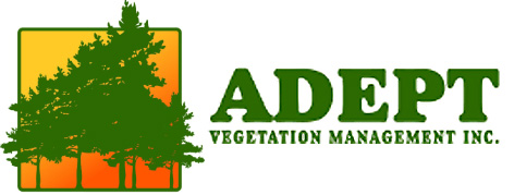 Adept Vegetation Management | Careers